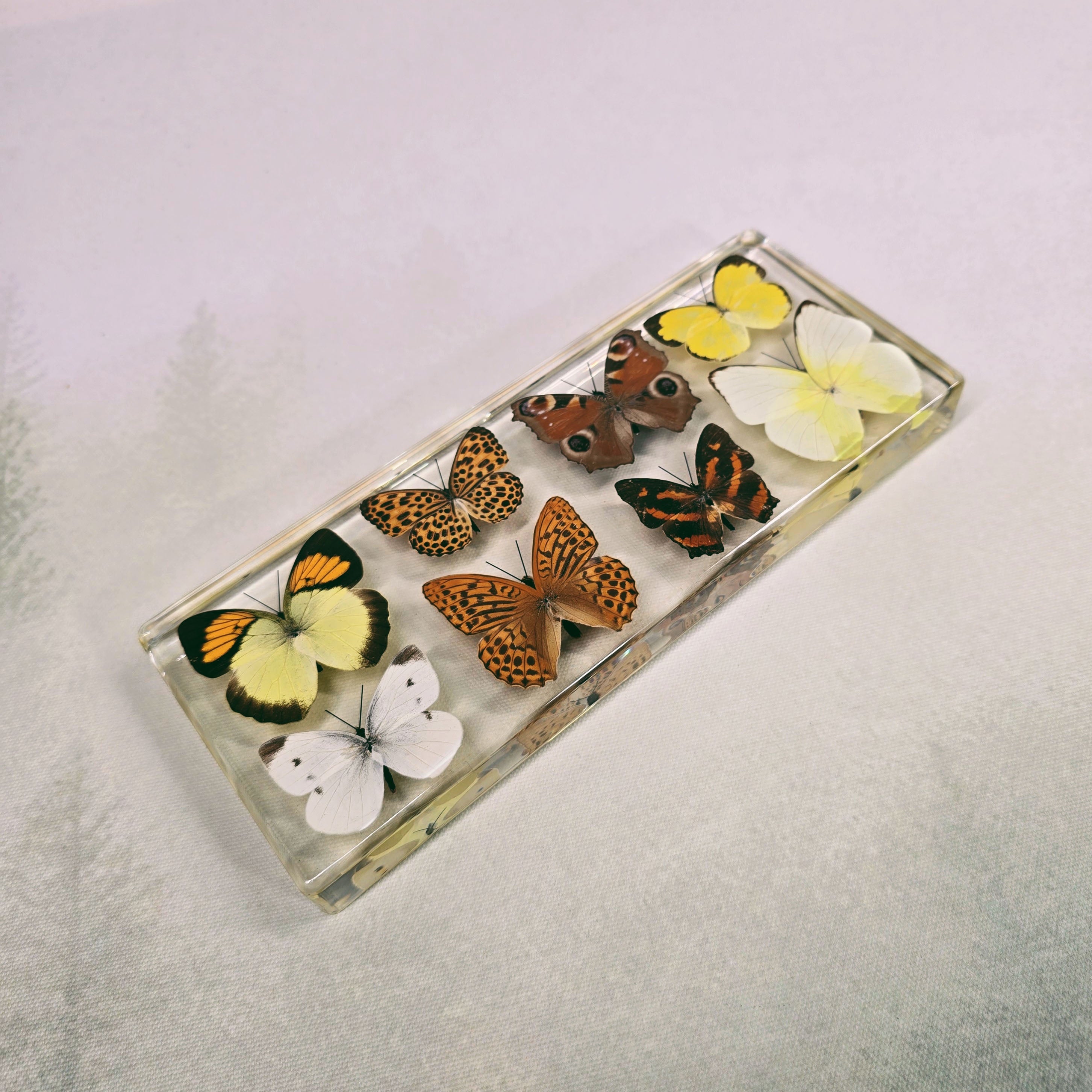 Collection of 8 Butterflies in 217mm Resin Block