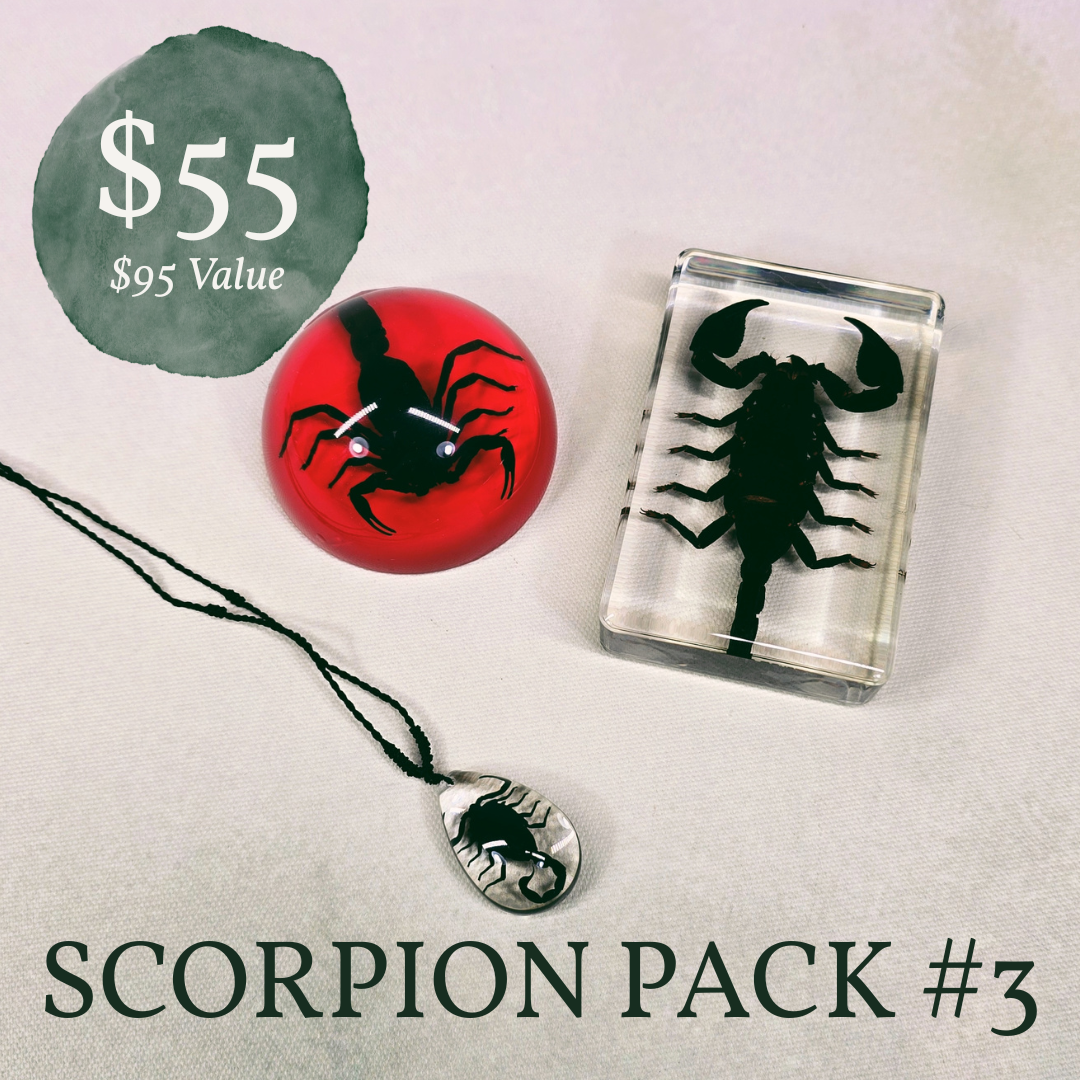 Resin Scorpion Pack #3 ($95 Value)