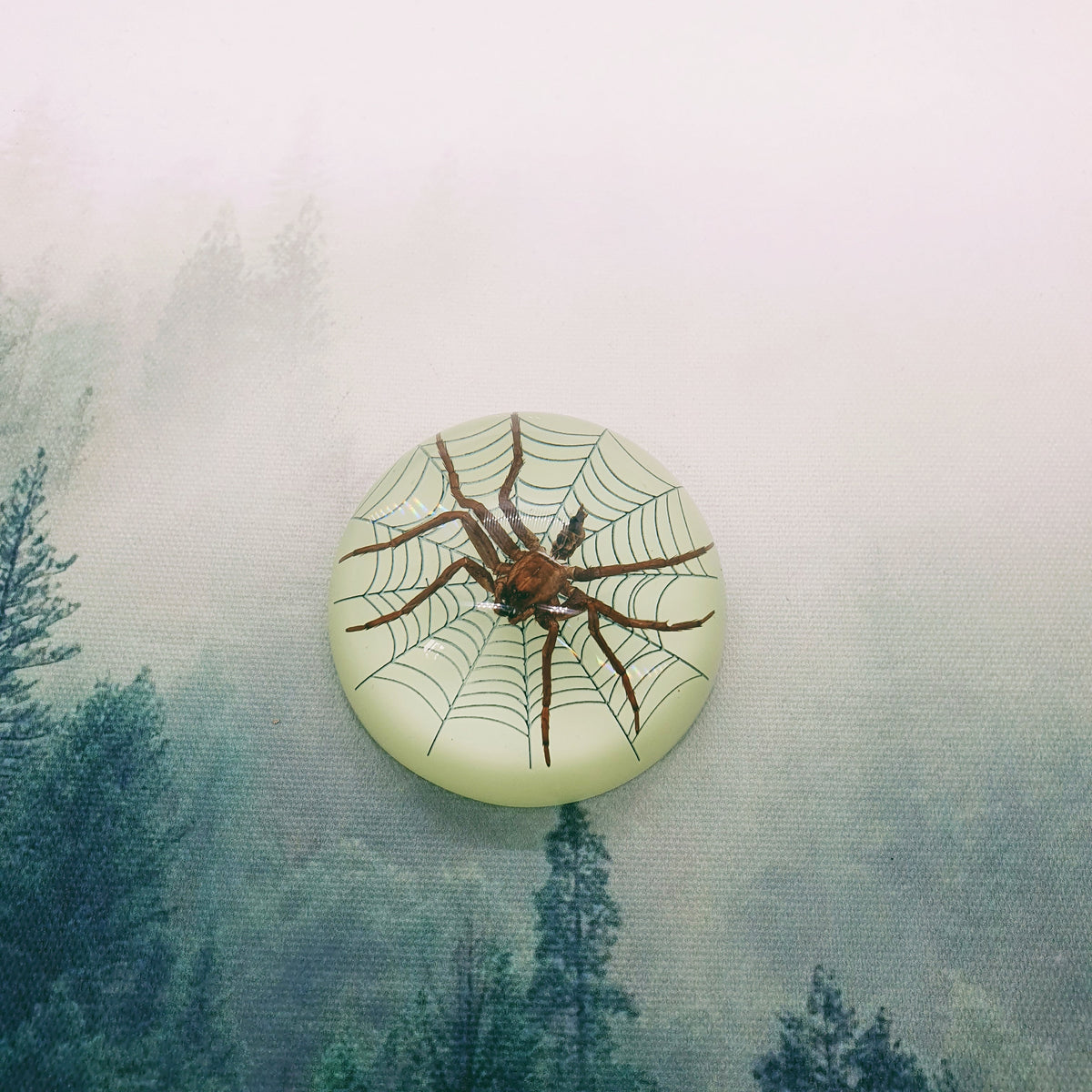 Spider in 63mm Glow Resin Dome