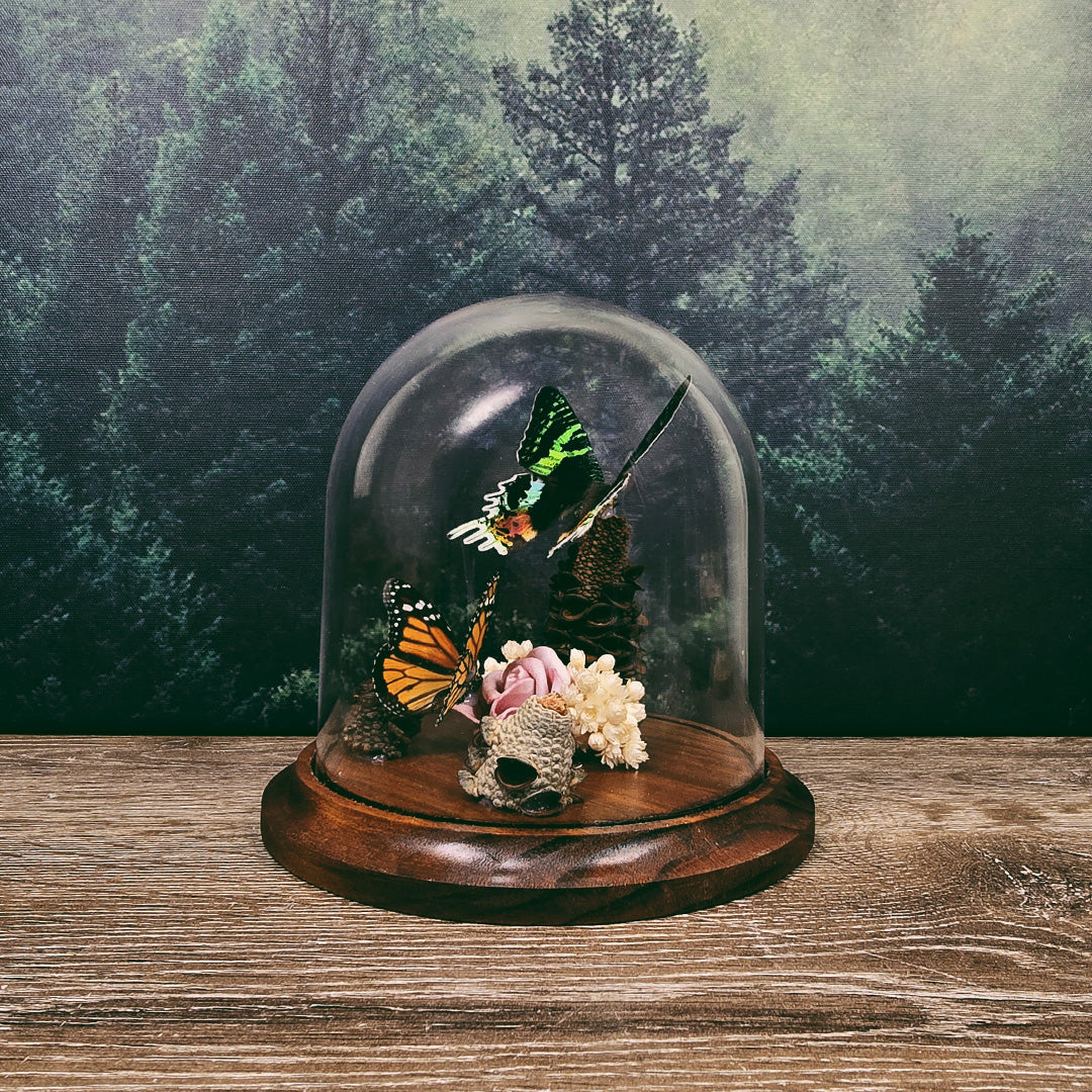 Odd Mountain Oddities: Curios, Antiques, Taxidermy, Oddities and More