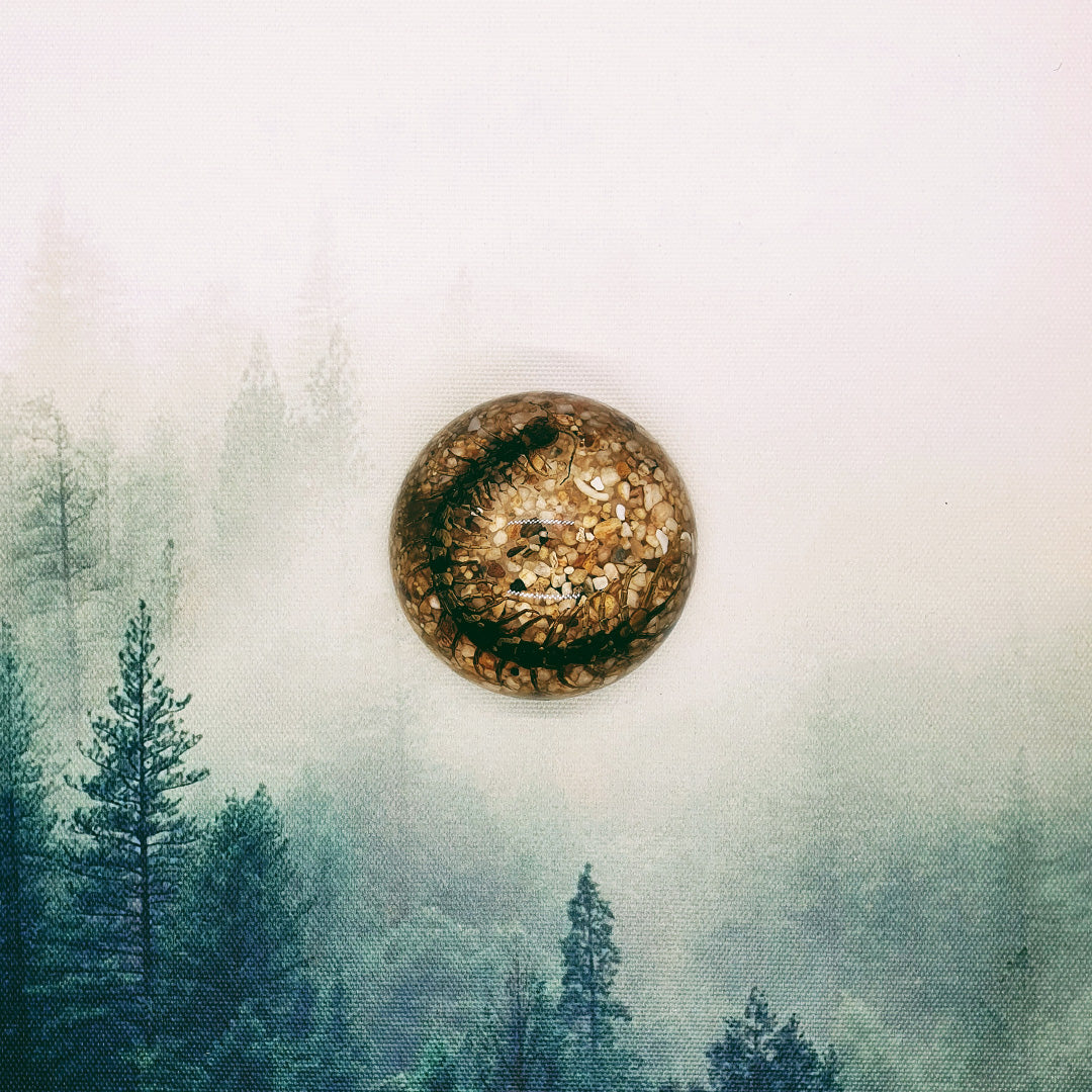 Centipede + Pebbles Embedded in Resin Dome 60mm