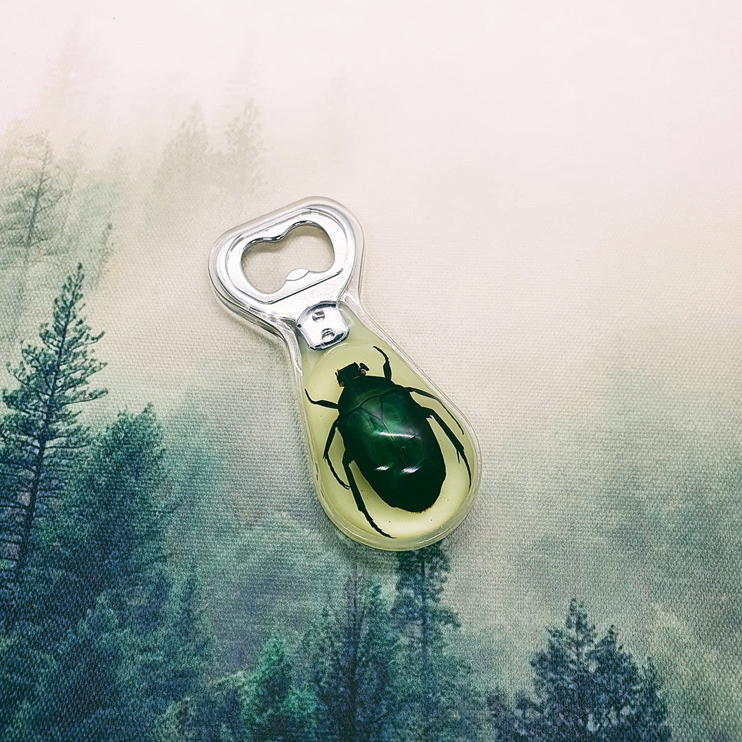 Green Rose Chafer Beetle Embedded in Resin Bottle Opener