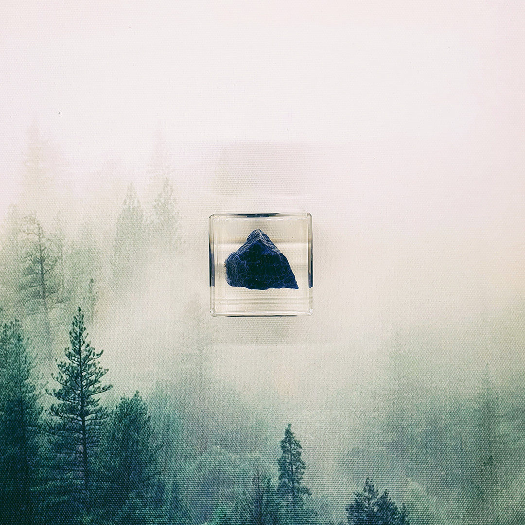 Resin Encased Specimens