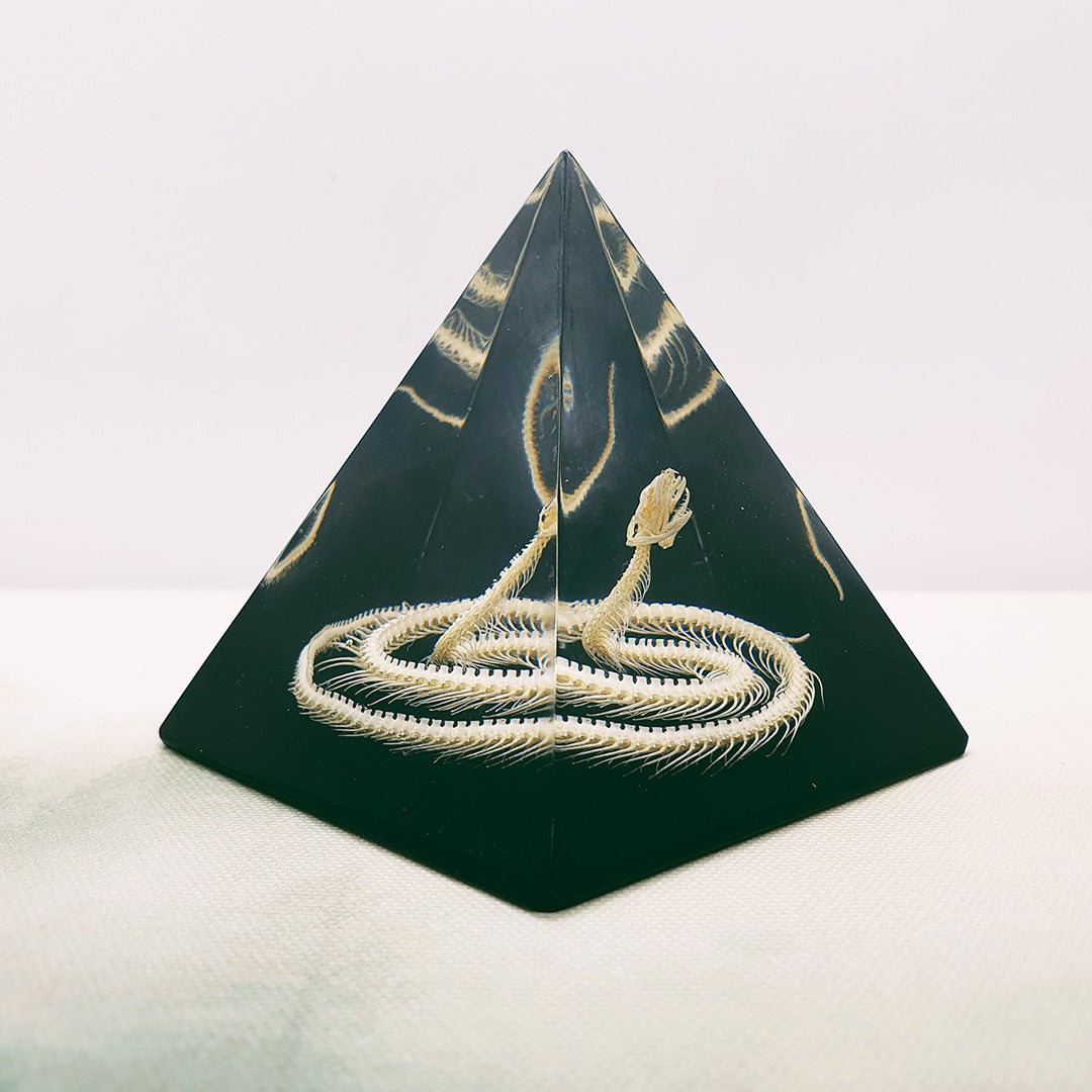 Snake Skeleton Embedded in Resin Pyramid 85mm