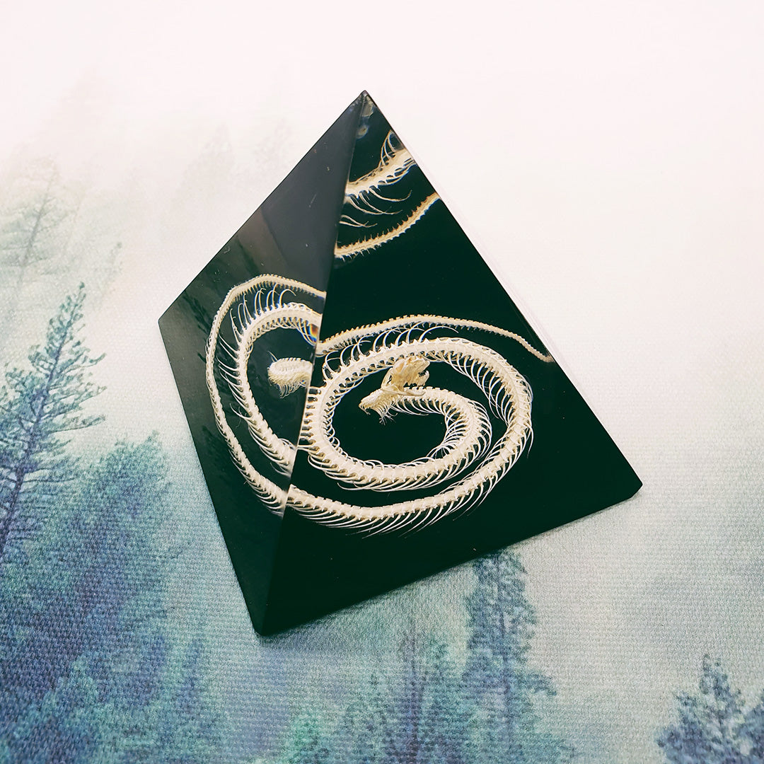 Snake Skeleton Embedded in Resin Pyramid 85mm