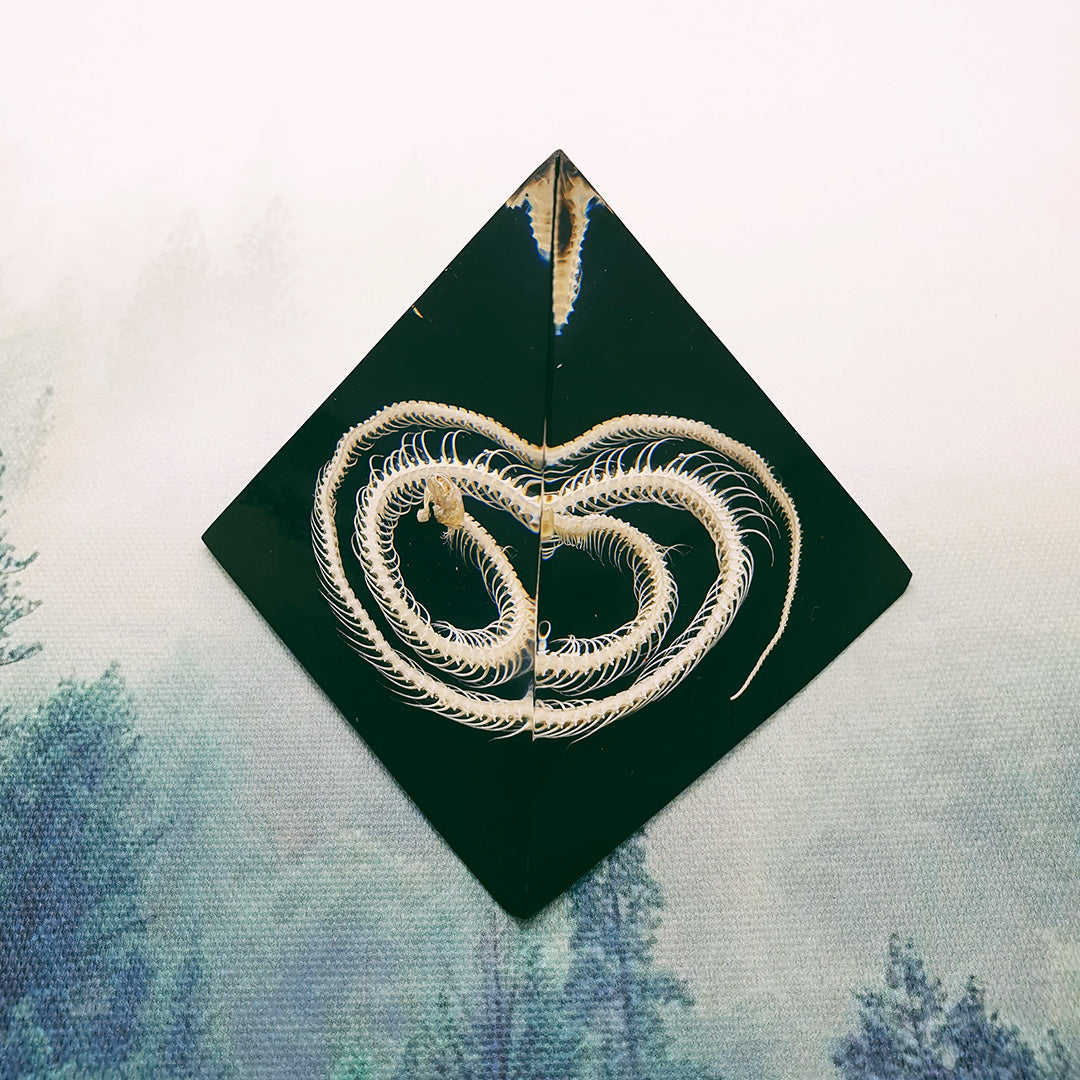 Snake Skeleton Embedded in Resin Pyramid 85mm