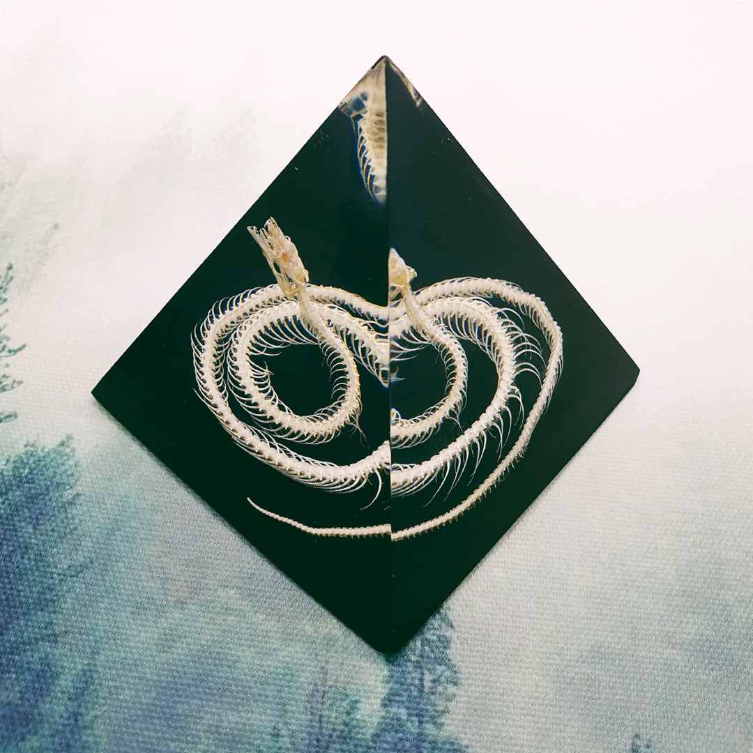 Snake Skeleton Embedded in Resin Pyramid 85mm
