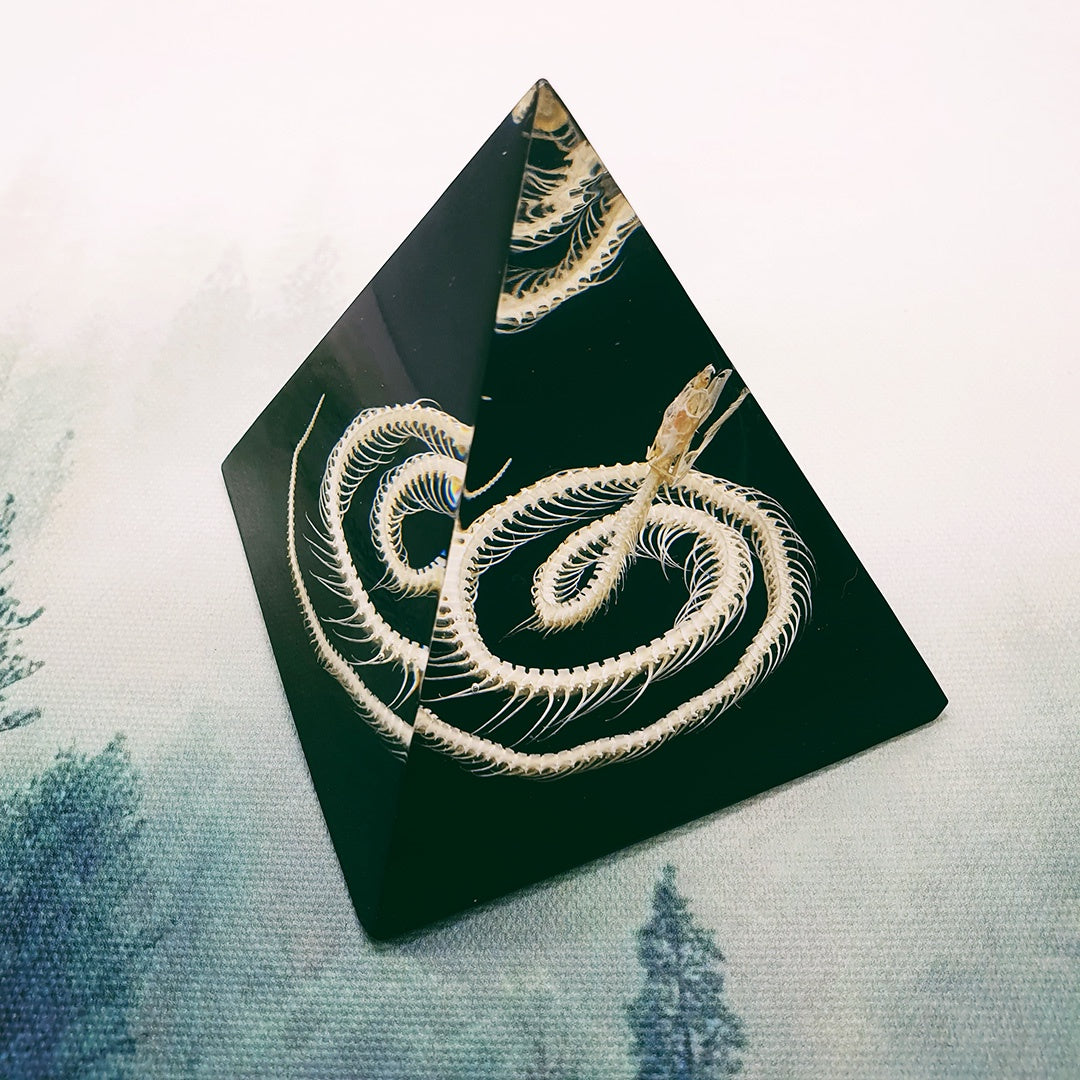 Snake Skeleton Embedded in Resin Pyramid 85mm