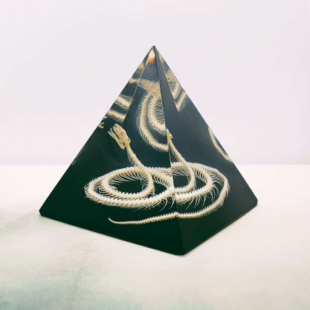 Snake Skeleton Embedded in Resin Pyramid 85mm