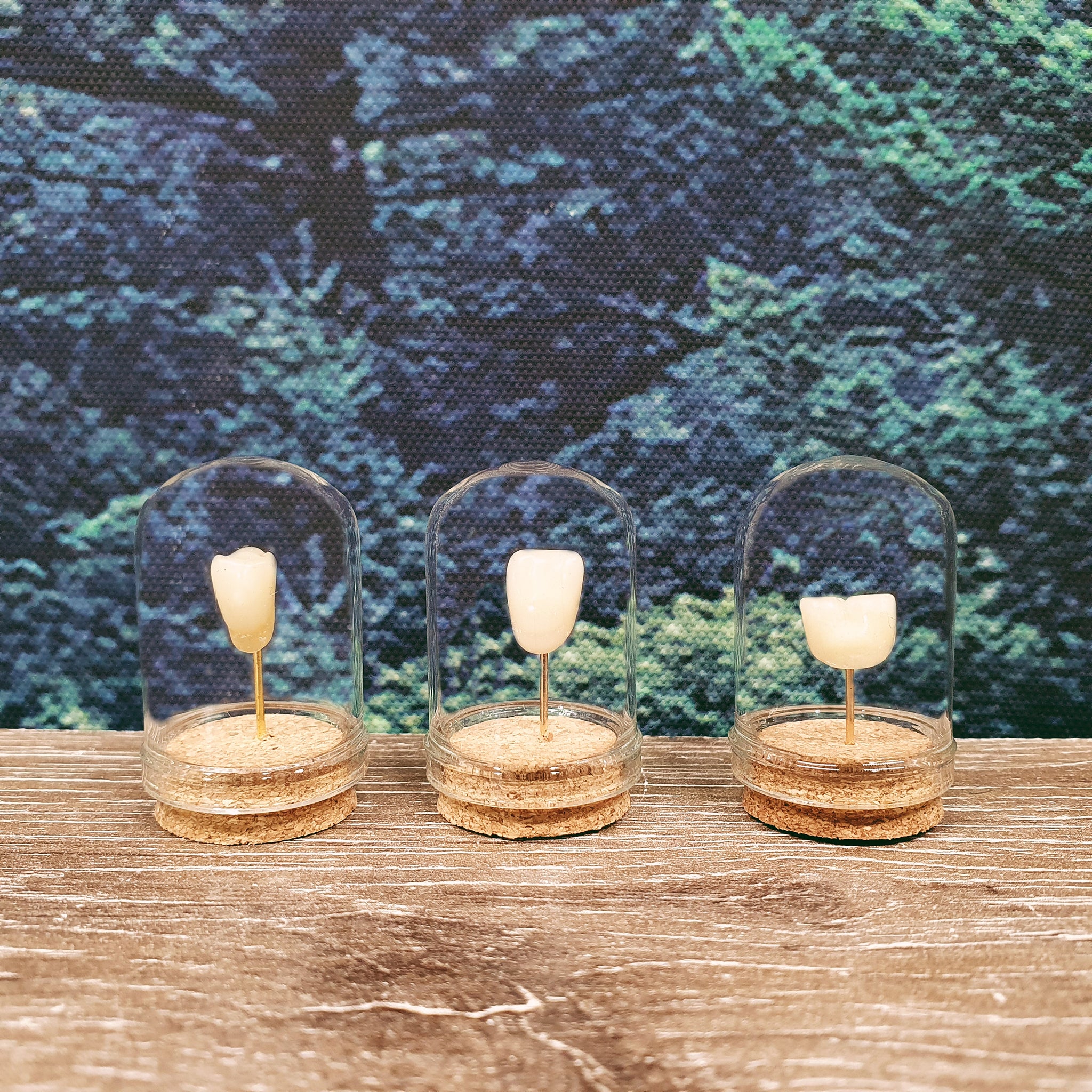Miniature Displays & Objects in Glass