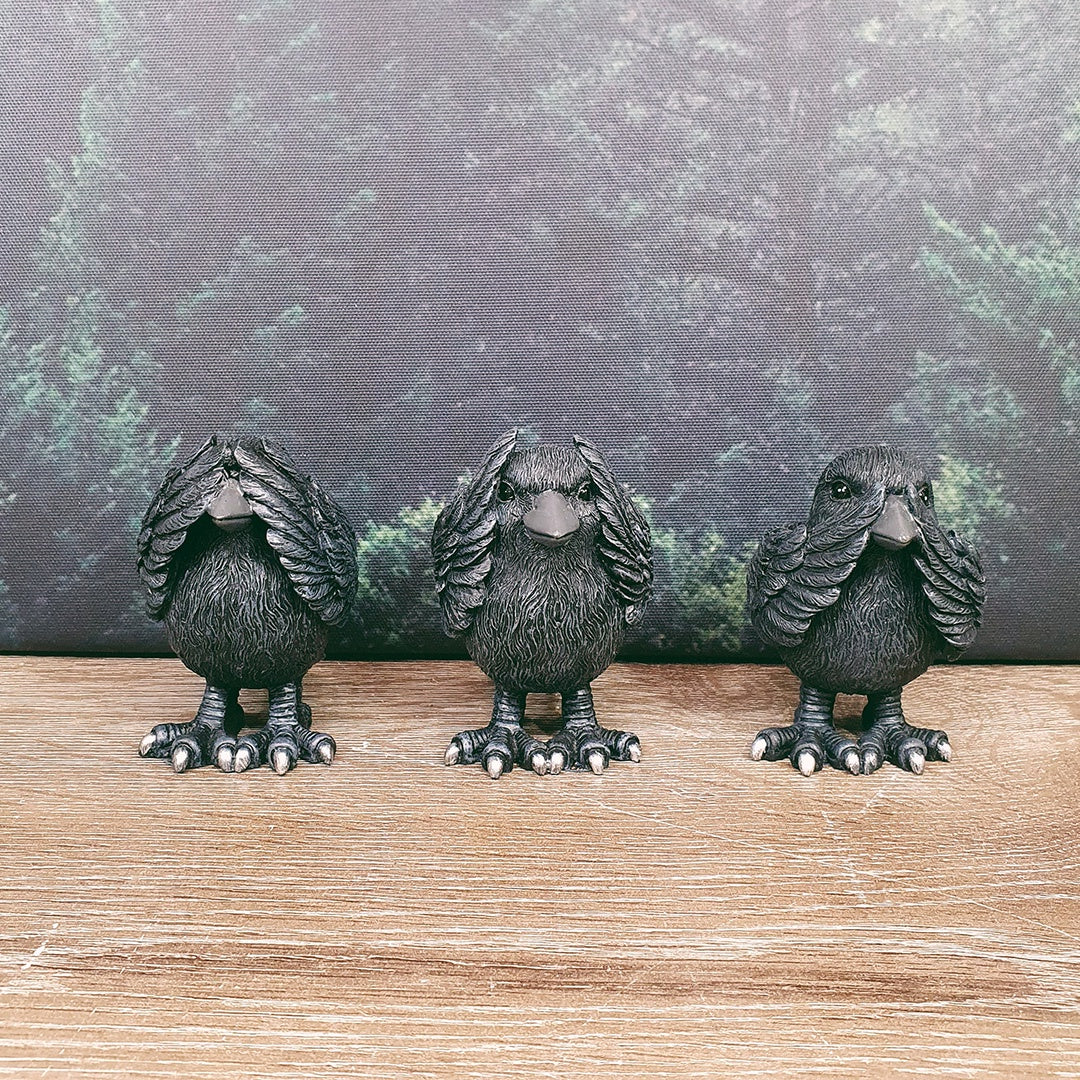 Three Wise Ravens